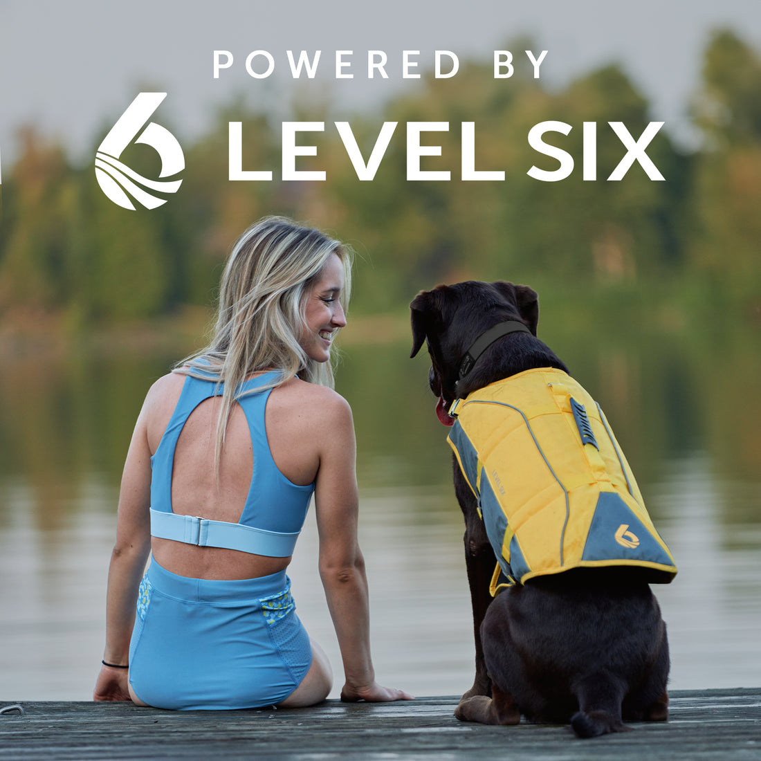 Dog Harnesses - Canadian Canine Gear