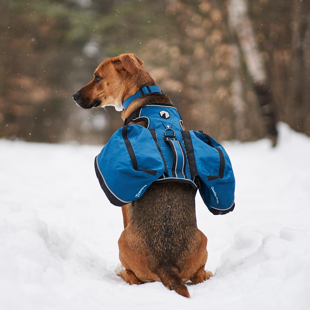 Canadian Canine Gear: Outdoor Dog Adventure Gear